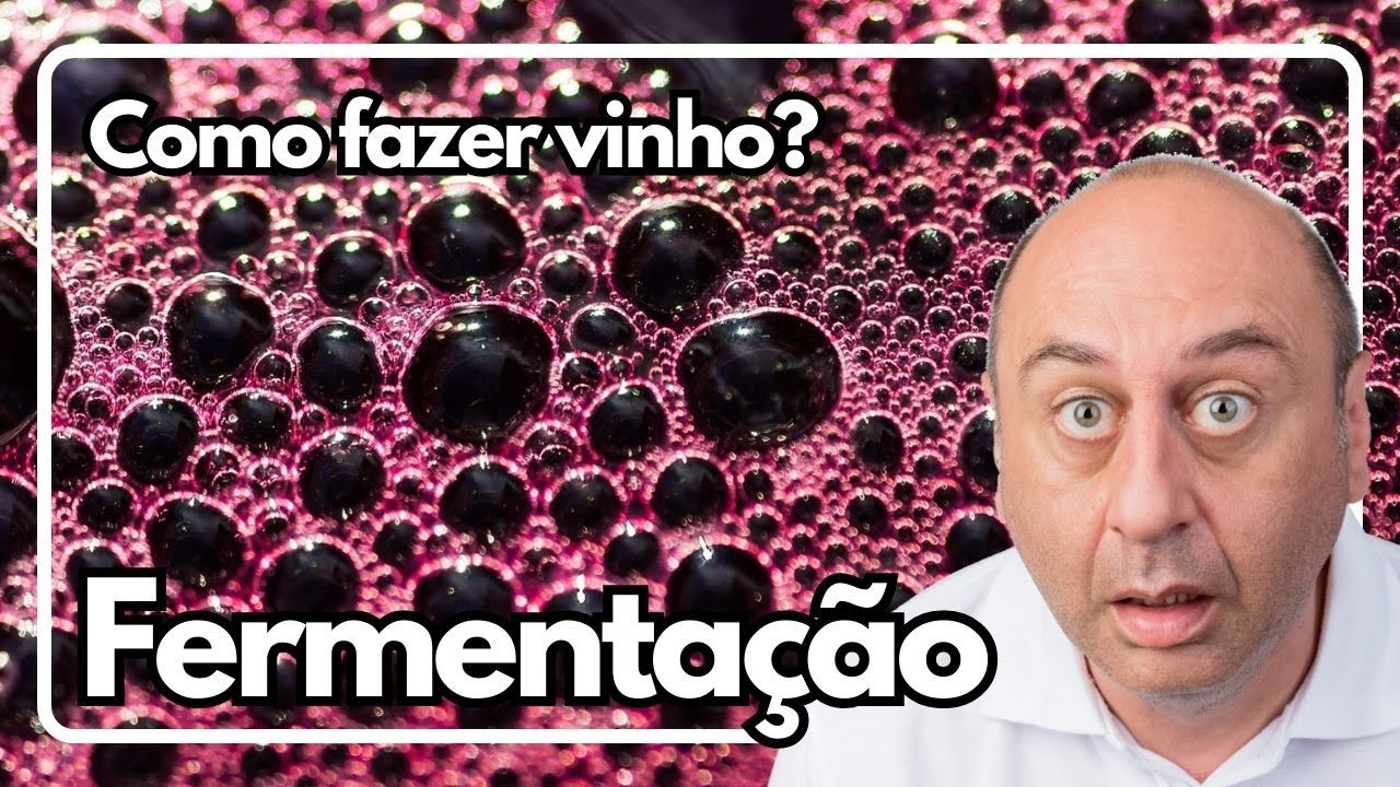 Como Fazer Vinho - Fermentação Alcoólica - YouTube
