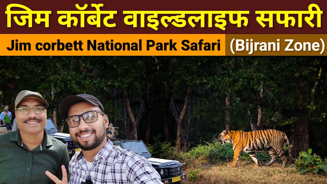 Jim Corbett National Park | Bijrani zone | wildlife safari | Tiger ...
