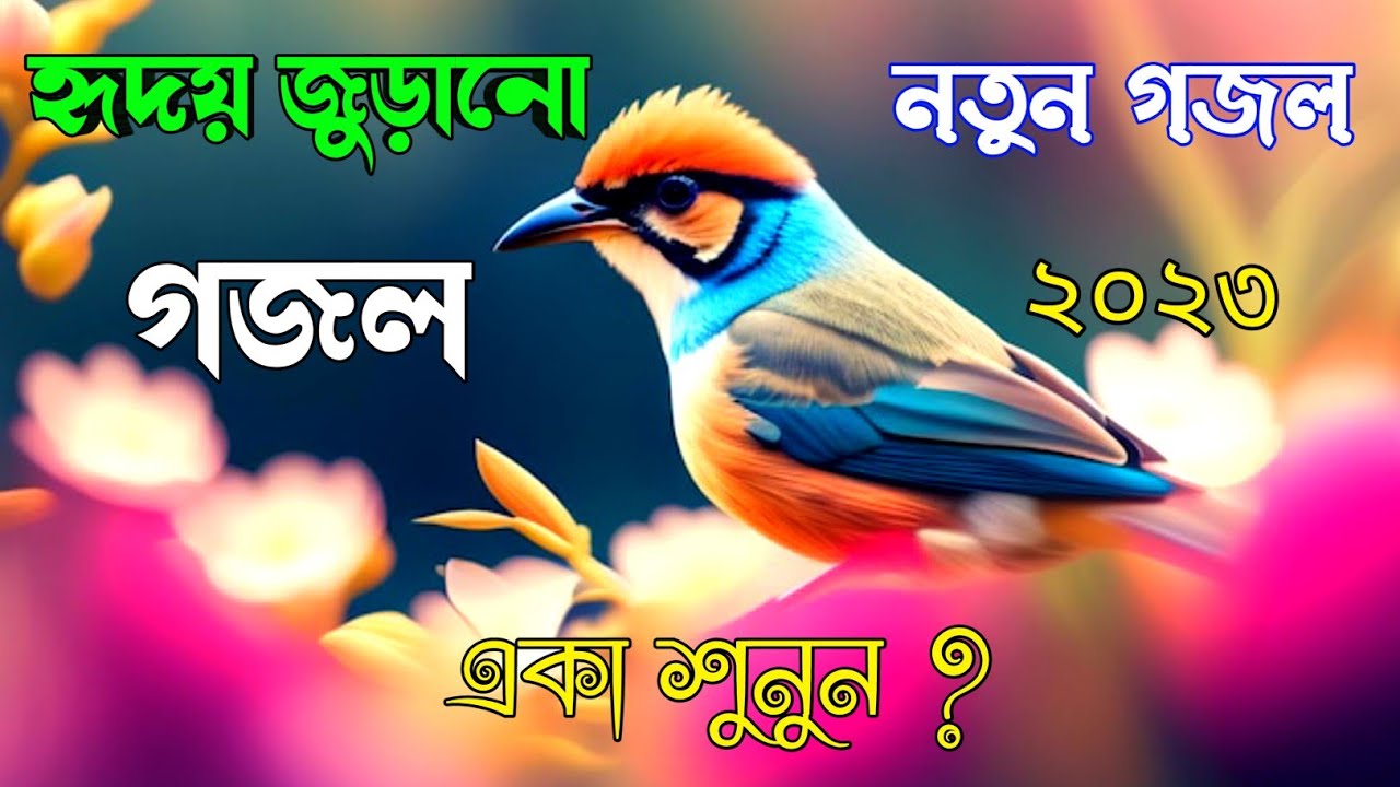 notun_gojol, islamic_naat, naat, naat_202।3, bangla_naat, islamic_gojol ...