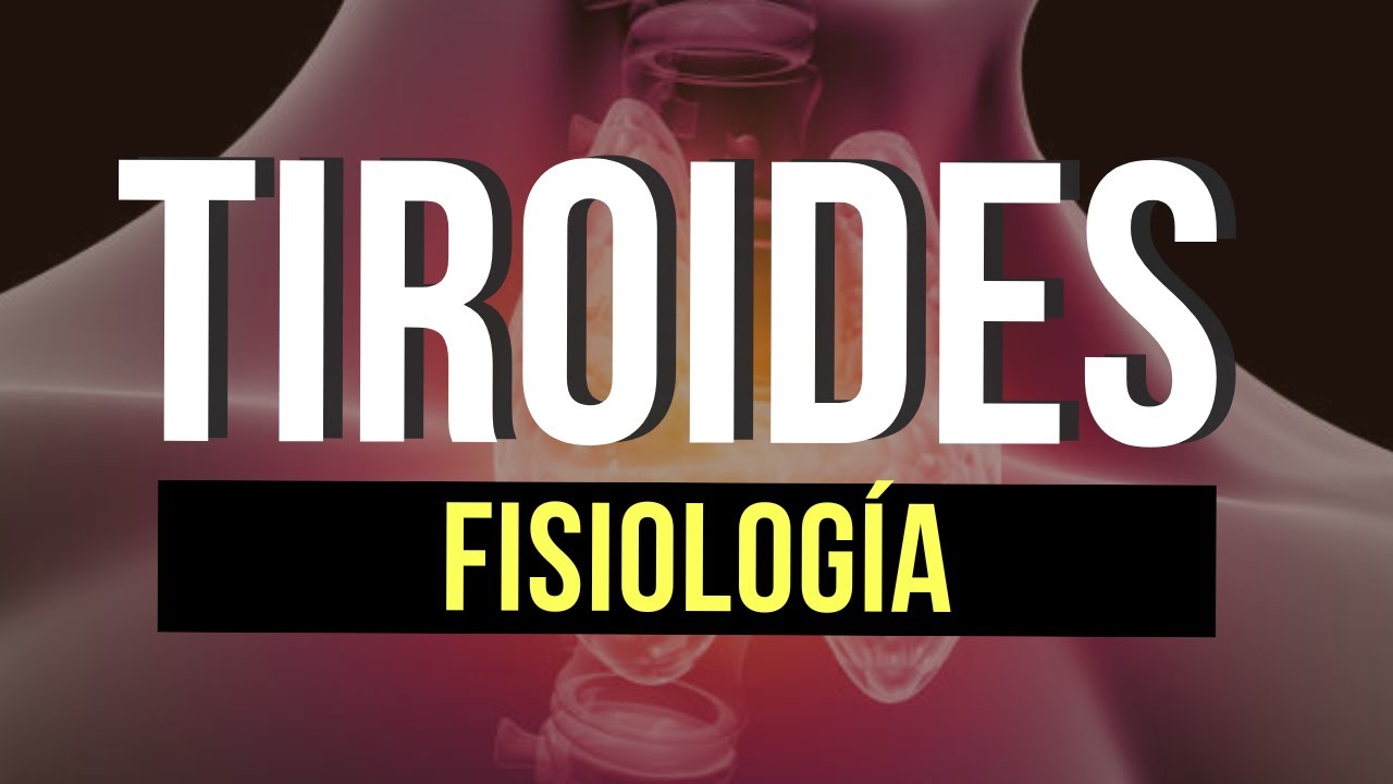 TIROIDES - Fisiología tiroidea (Parte 1) - YouTube