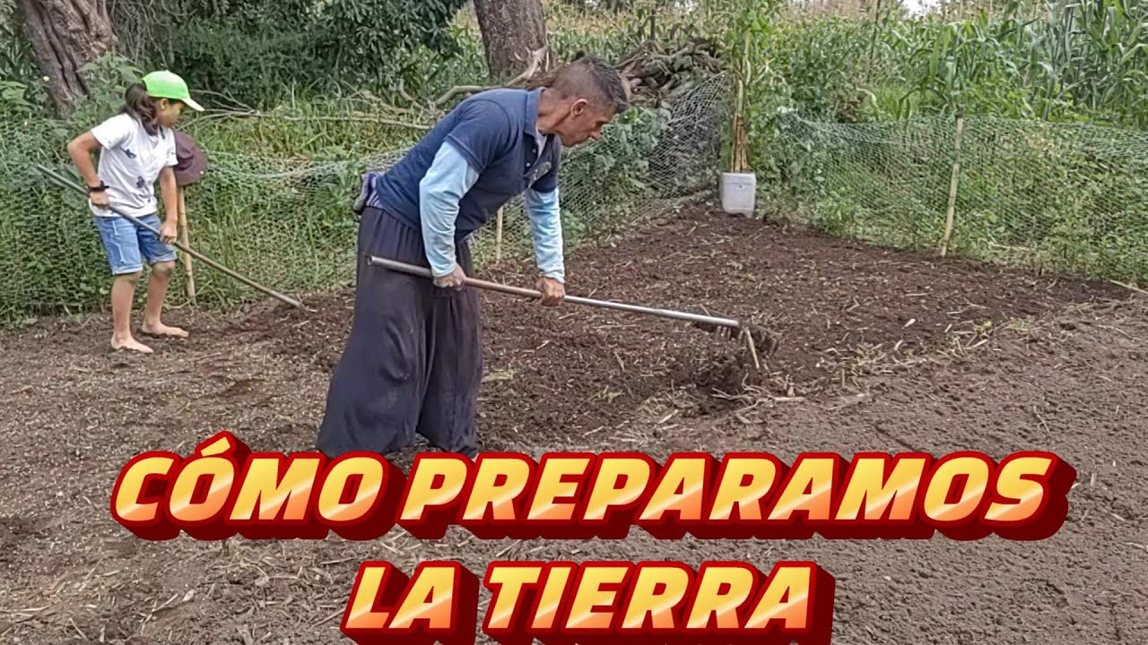 PREPARA TU TIERRA fácilmente PARA SEMBRAR. resultados a la vista👀 - YouTube
