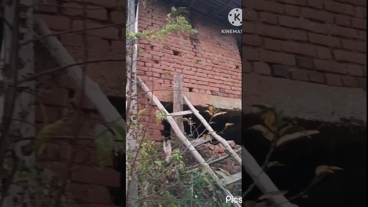 Part -1 the horror short wait for the next part #splitsecond - YouTube