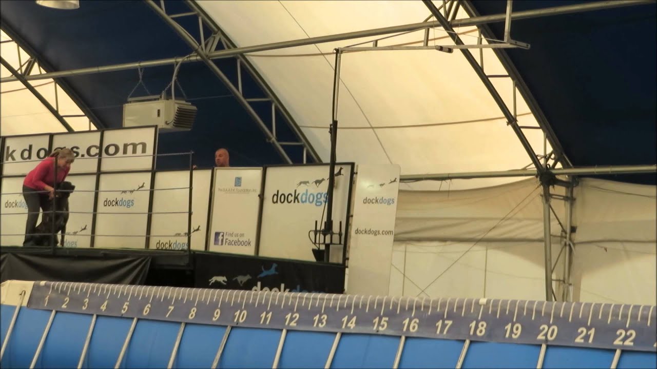 Spring Fair in Puyallup, WA - Apr 12, 2014 - YouTube