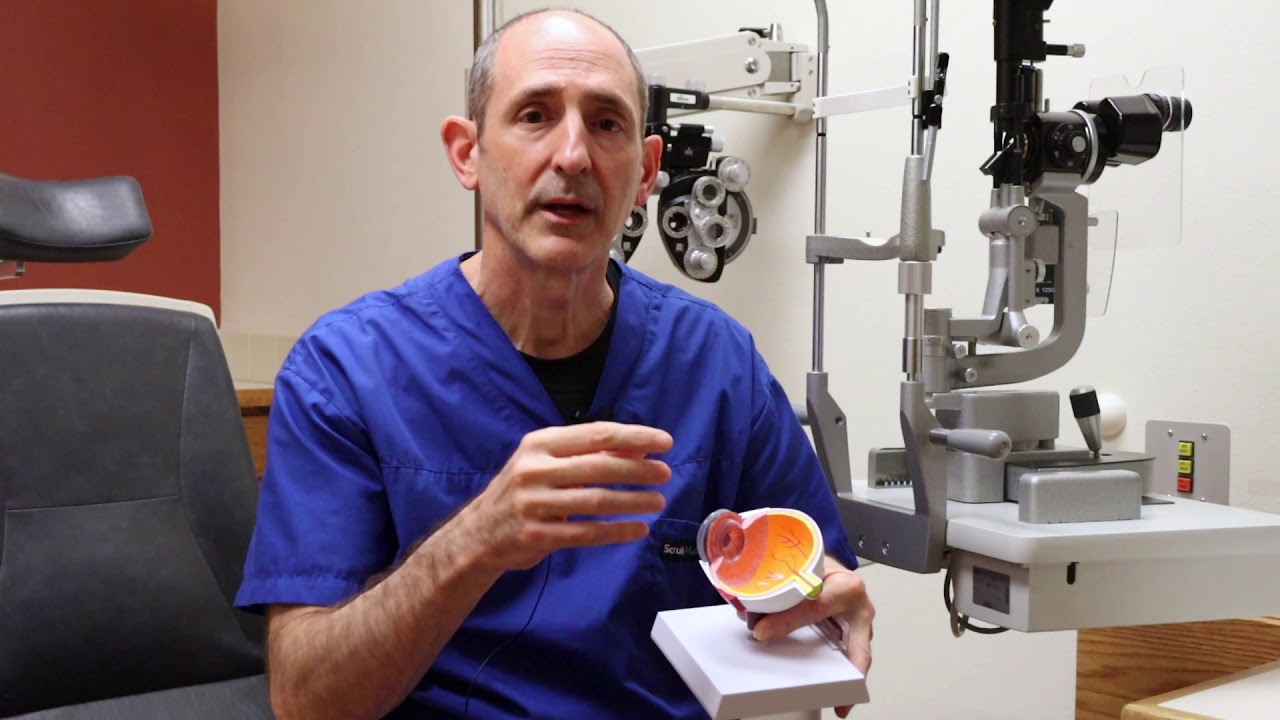 Floaters with Dr. Albert Edwards, MD, Ph.D. - YouTube