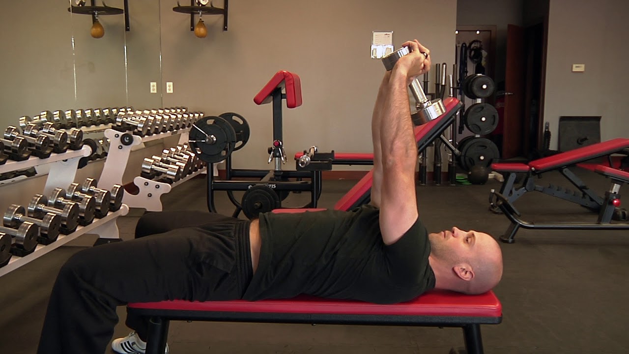 Back - Pullover - Flat bench - DB - YouTube