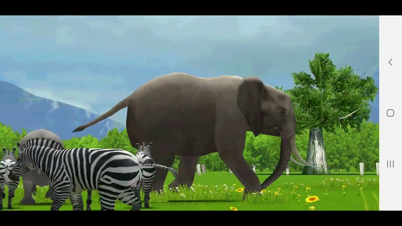 Rhino Elephant and Zebra Stampede! - YouTube