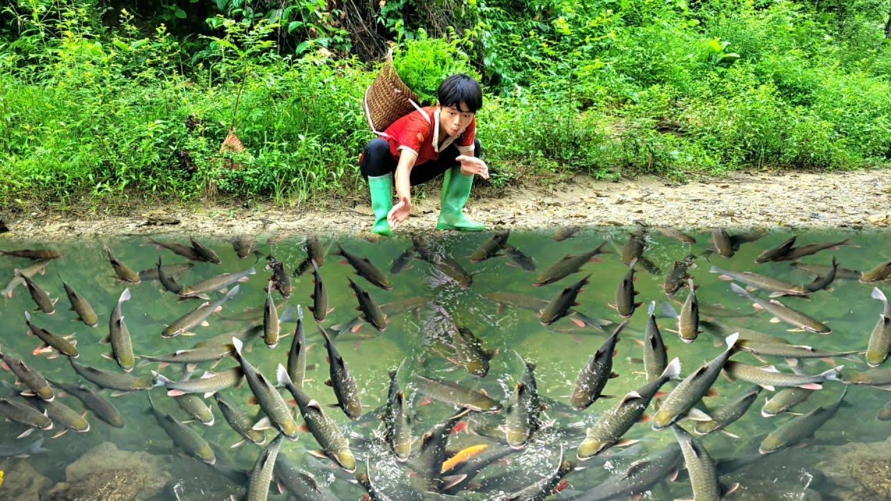 Lam discovered a school of fish in the stream and used his hands to ...