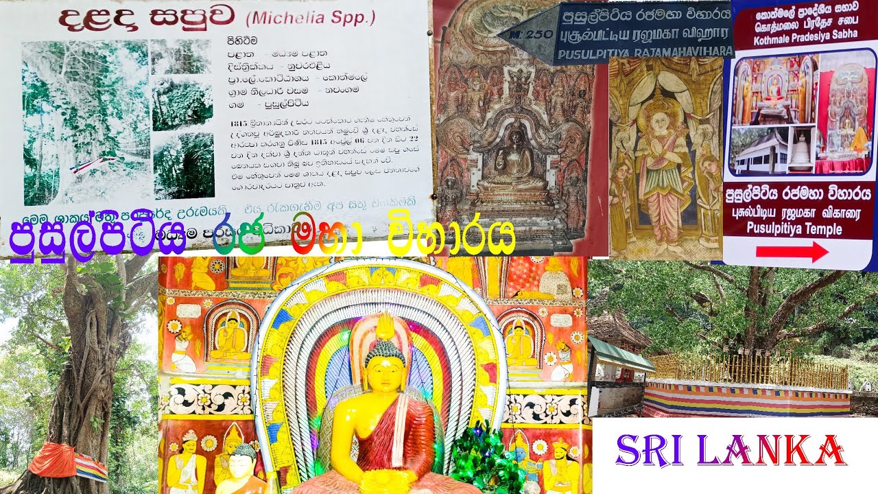 පුසුල්පිටිය රජ මහා විහාරය෴. Subtle Pusulpitiya Temple. #travel # ...