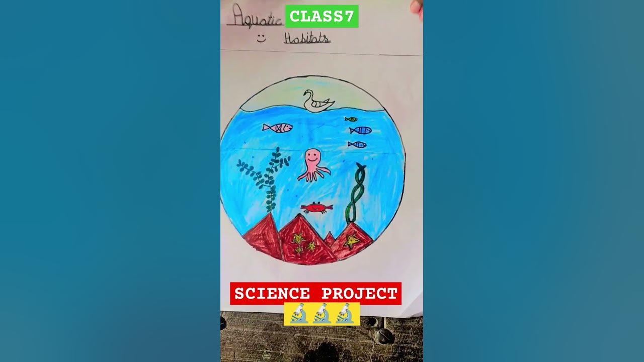 Aquatic Life Science Project Class 7 Scienceexperiment Scienceproject Youtube