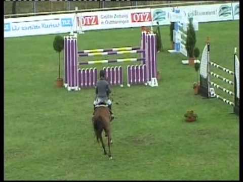 12yo mare by Avernir