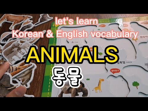 Let's Learn English and Korean | Animals 동물 #study - YouTube