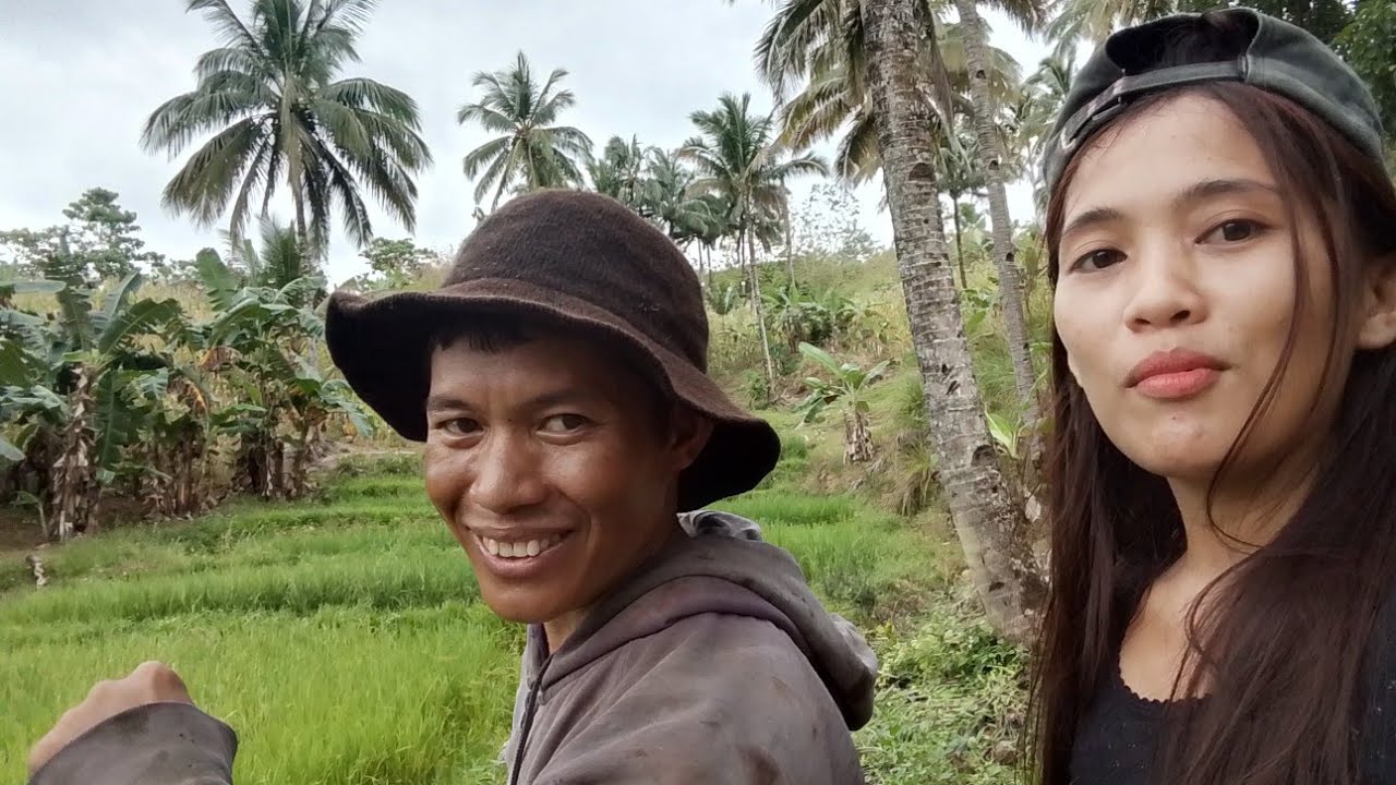 Ano ang mangyayari sa farm halos 1 buwan hindi mapuntahan - YouTube