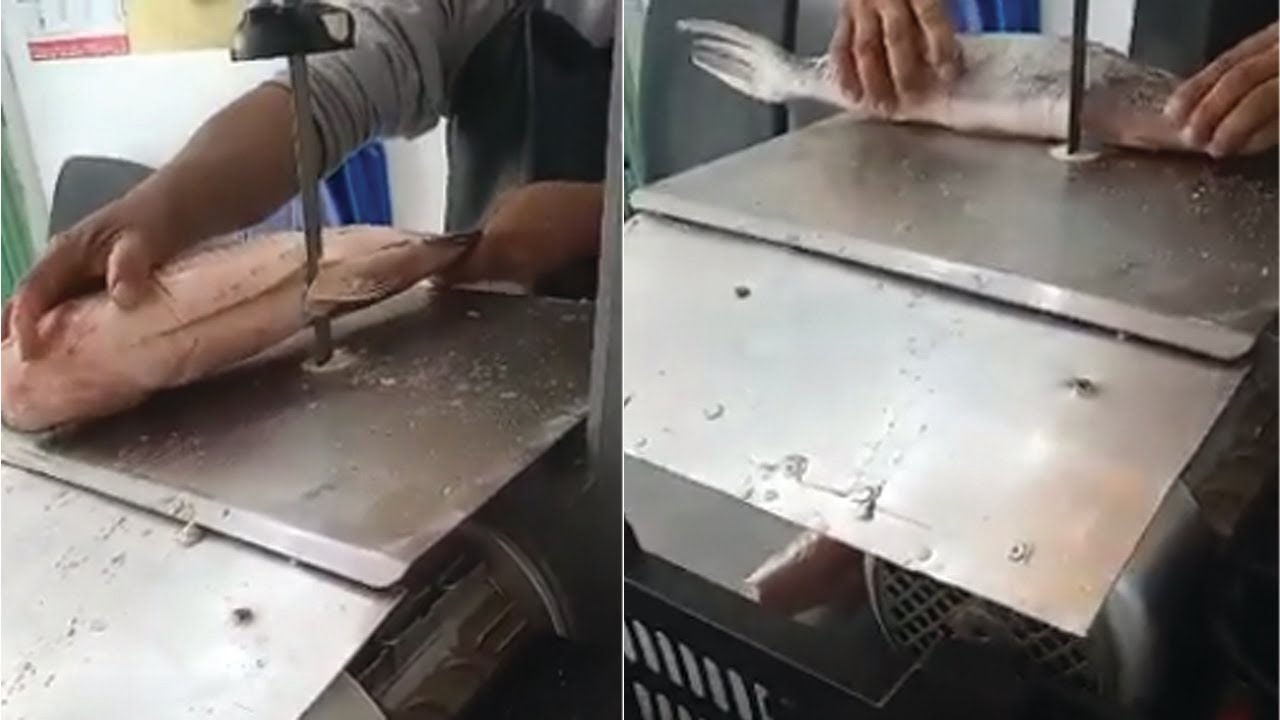 মেশিন দিয়ে মাছ কাটার কৌশল । Fish Cutting Machine।। Saudi Arab Fish ...