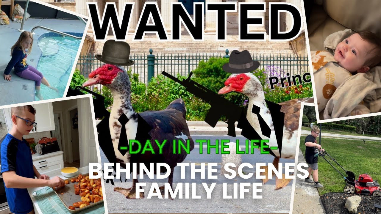 Behind the Scenes Family Life ~ Day In The Life Family of 6 - YouTube