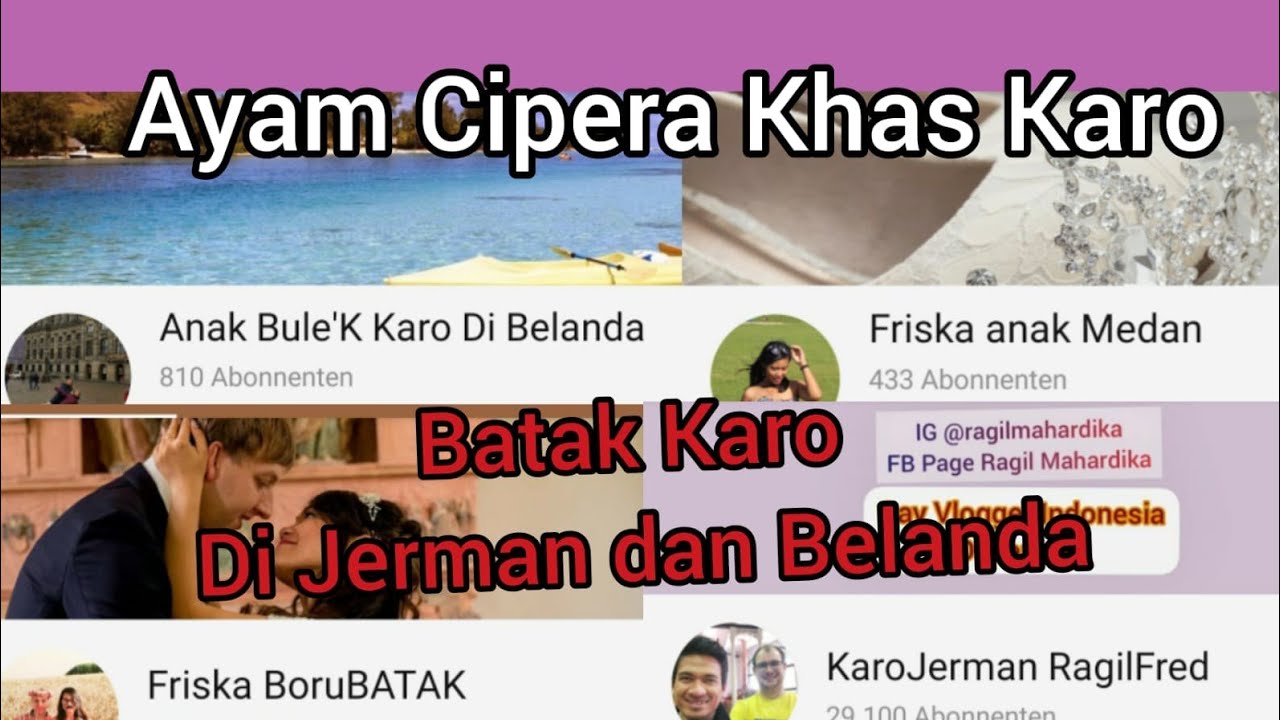 AYAM CIPERA KHAS KARO KOLABORASI KALAK KARO DI BELANDA DAN JERMAN # ...
