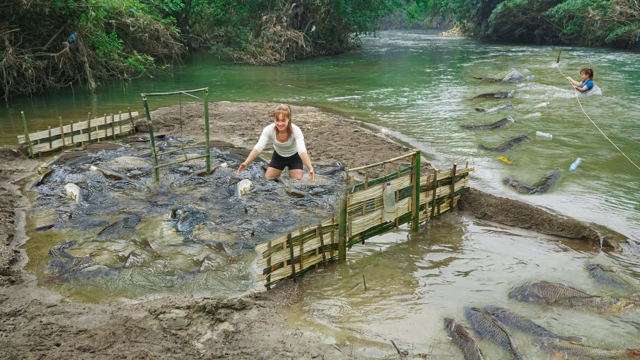 Full Video How to Make Simple Fish Trap With Bamboo By Beautiful Girl ...