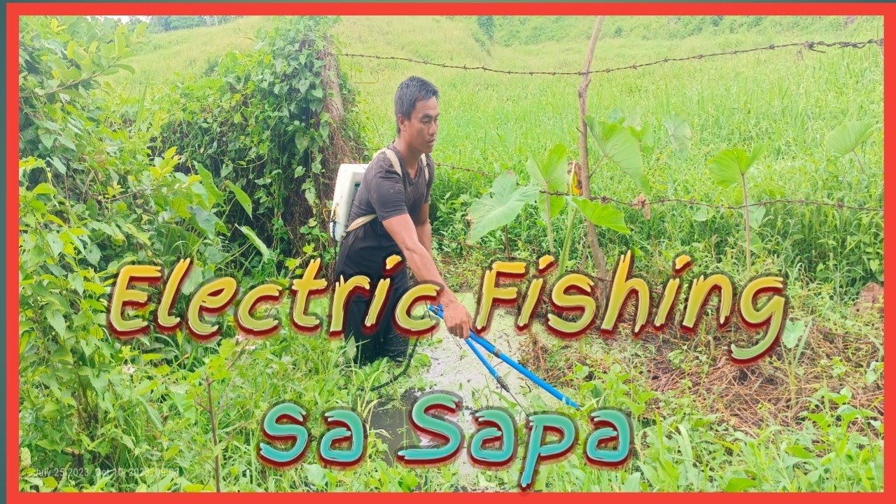 V#029 Electric Fishing sa Sapa - YouTube
