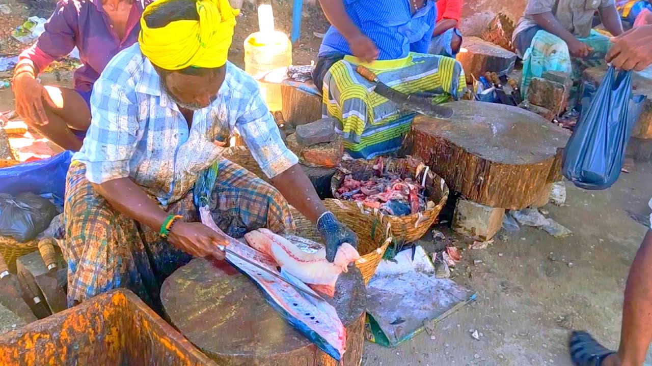 Mahi Mahi Fish / Parla meen / Dolphin fish cleaning and tips in Tamil ...