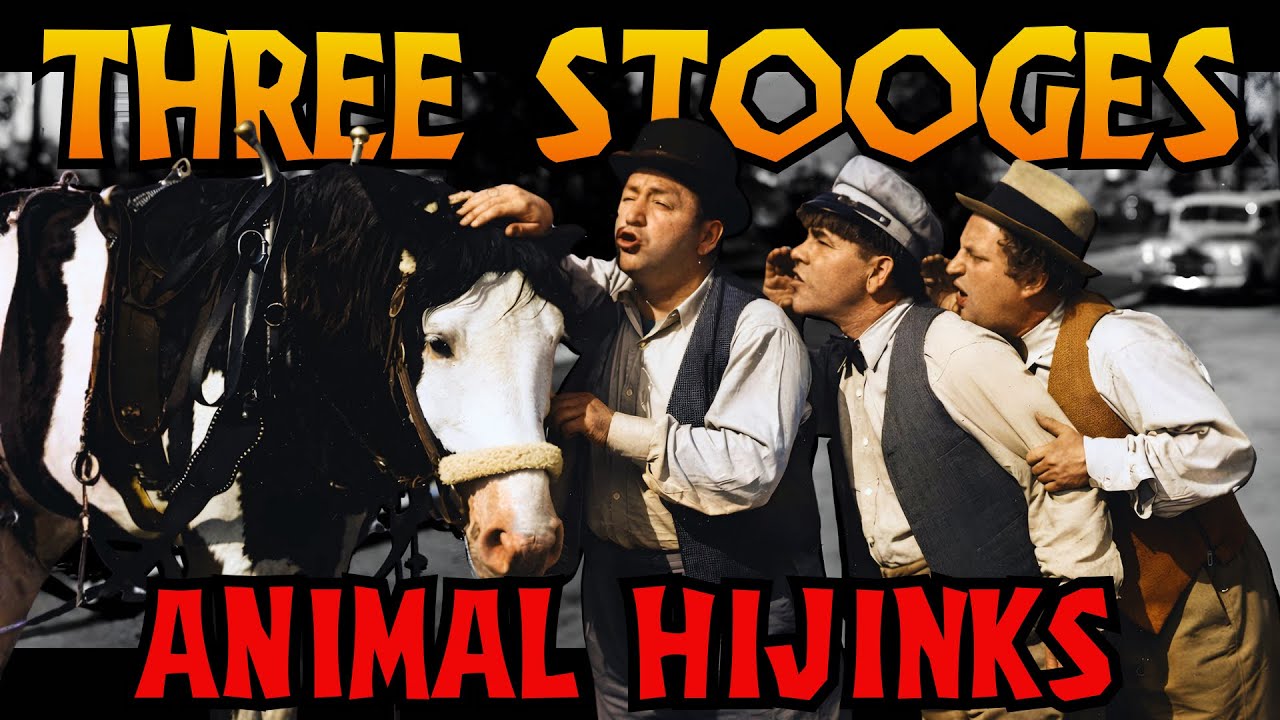 THREE STOOGES Marathon: Animal Hijinks - YouTube