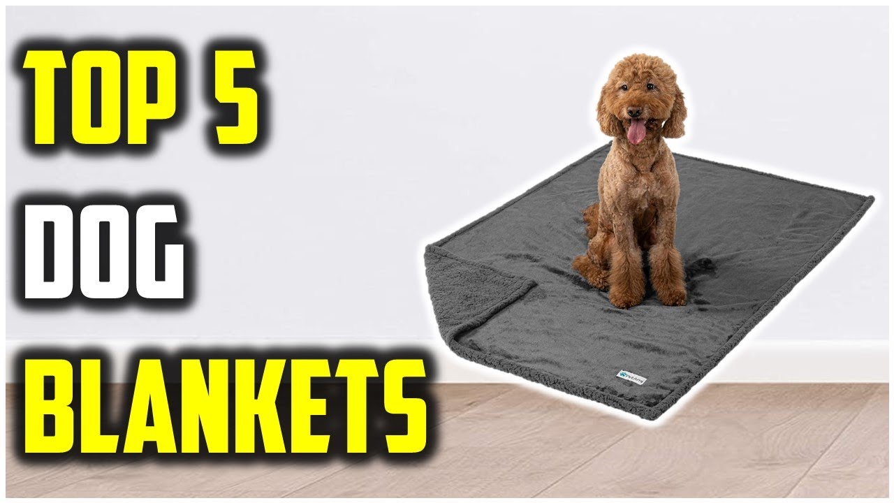Top 5 Best Dog Blankets of 2026 | Tested the Best Waterproof Dog ...