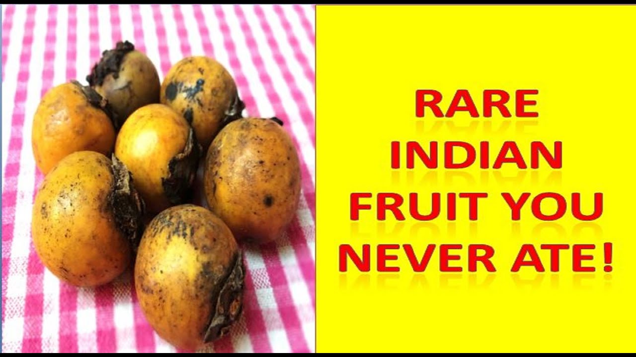 How To Eat Persimmon Fruit Tendu Pallu English Rare Fruit In India how-to-eat-persimmon-fruit-tendu-pallu-english-rare-fruit-in-india