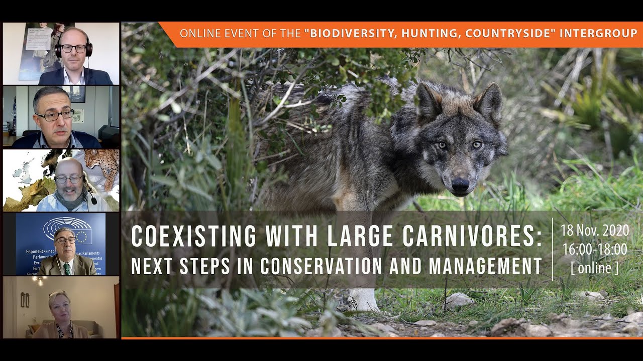 "Coexisting with Large Carnivores: Next steps in conservation and ...