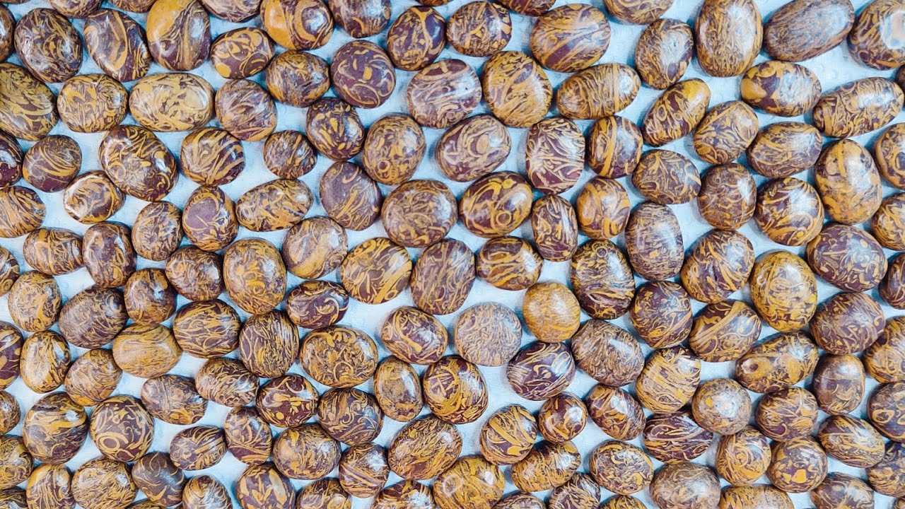 মরিয়ম পাথর এর উপকারিতা,Benefits of Maryam Stone,মরিয়ম ফুল ও পাথরের ...