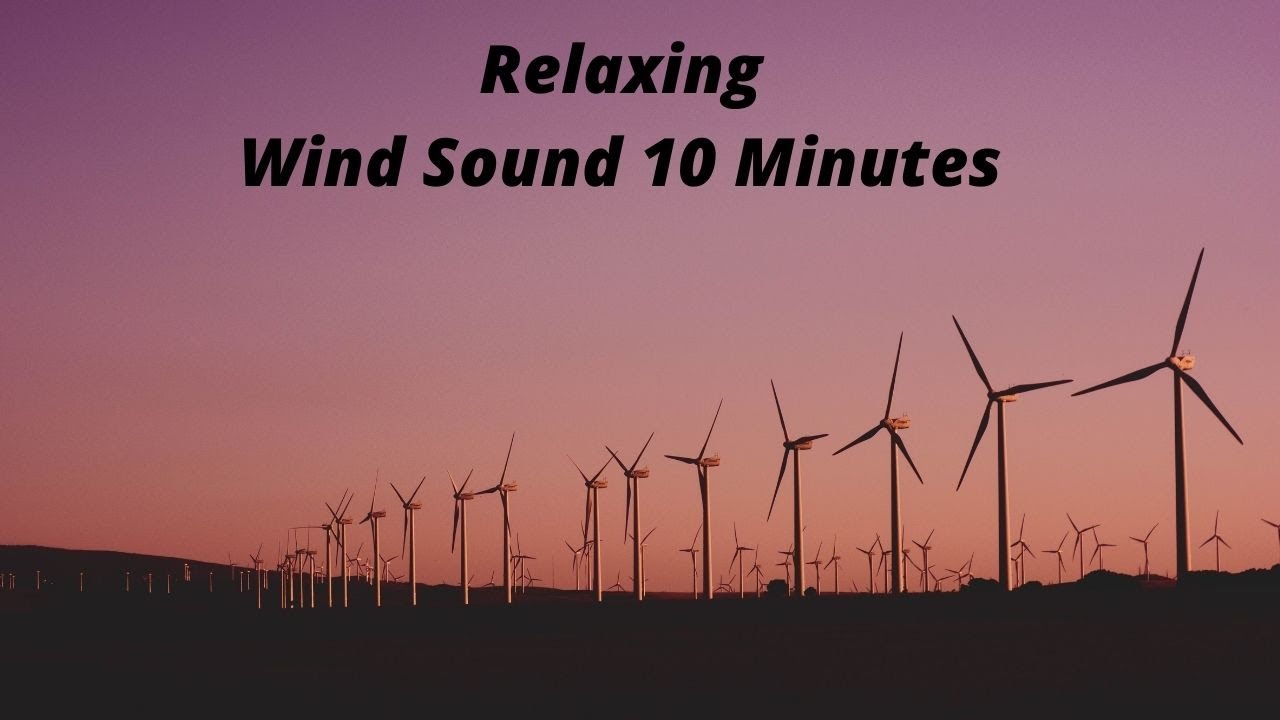 Relaxing Wind Sound 10 minutes I Relaxation & Meditation #Relaxation ...