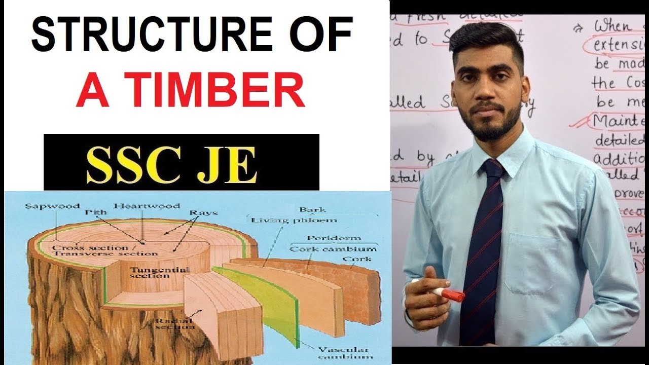 SSC JE Exam II Structure of a timber II construction materials II civil ...