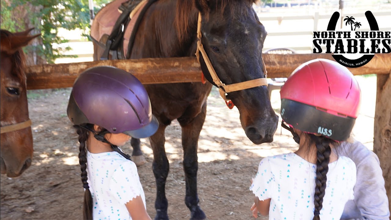 Visiting the North Shore Stables on Oahu! - YouTube