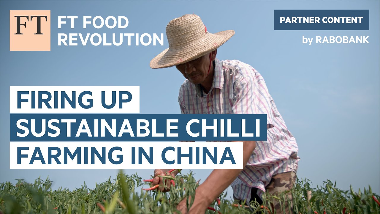 Firing up sustainable chilli farming in China | FT Food Revolution ...