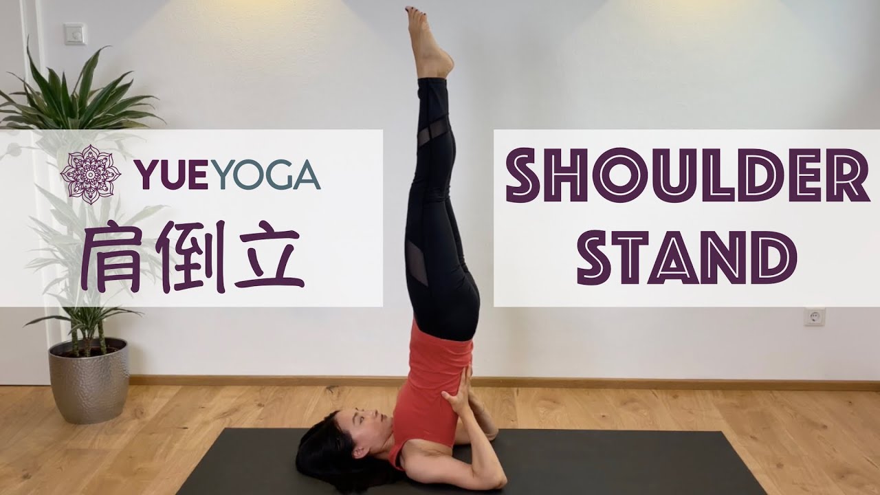 肩倒立 Salamba Sarvangasana【分步解析 新手必备】Shoulder Stand Tutorial | Yue Yoga - YouTube