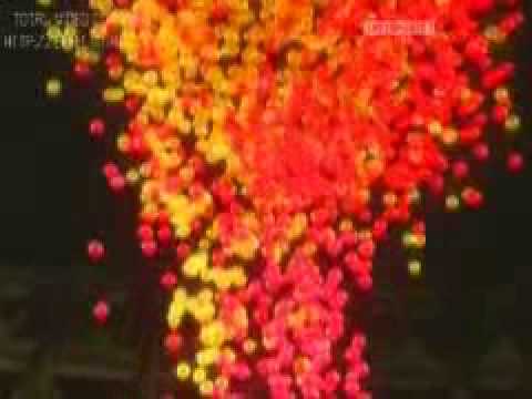 UEFA Champions League Final Moscow 2008 Manchester United vs Chelsea ...
