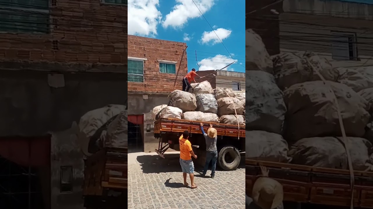 13 de dezembro de 2022 - YouTube