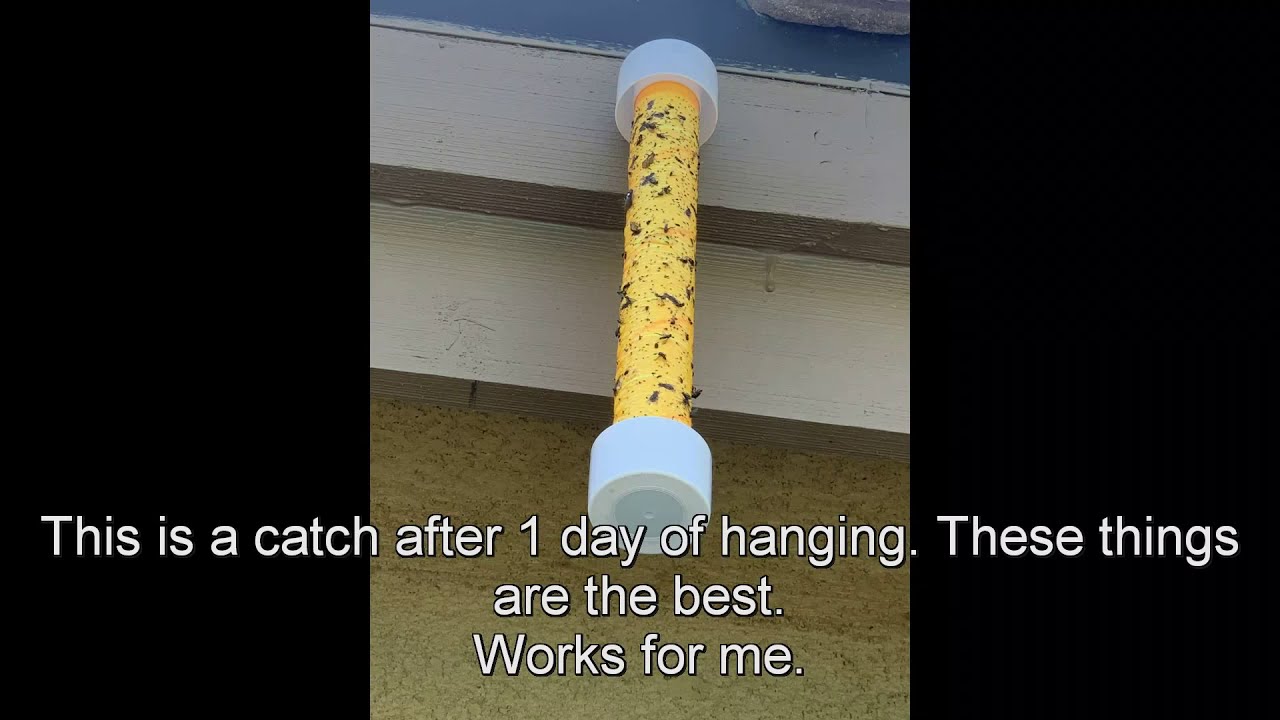 Fly Stick Junior By Star Bar THE BEST FLY STICK that - WORKS FOR ME ...