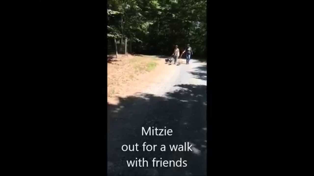 Mitzie - YouTube