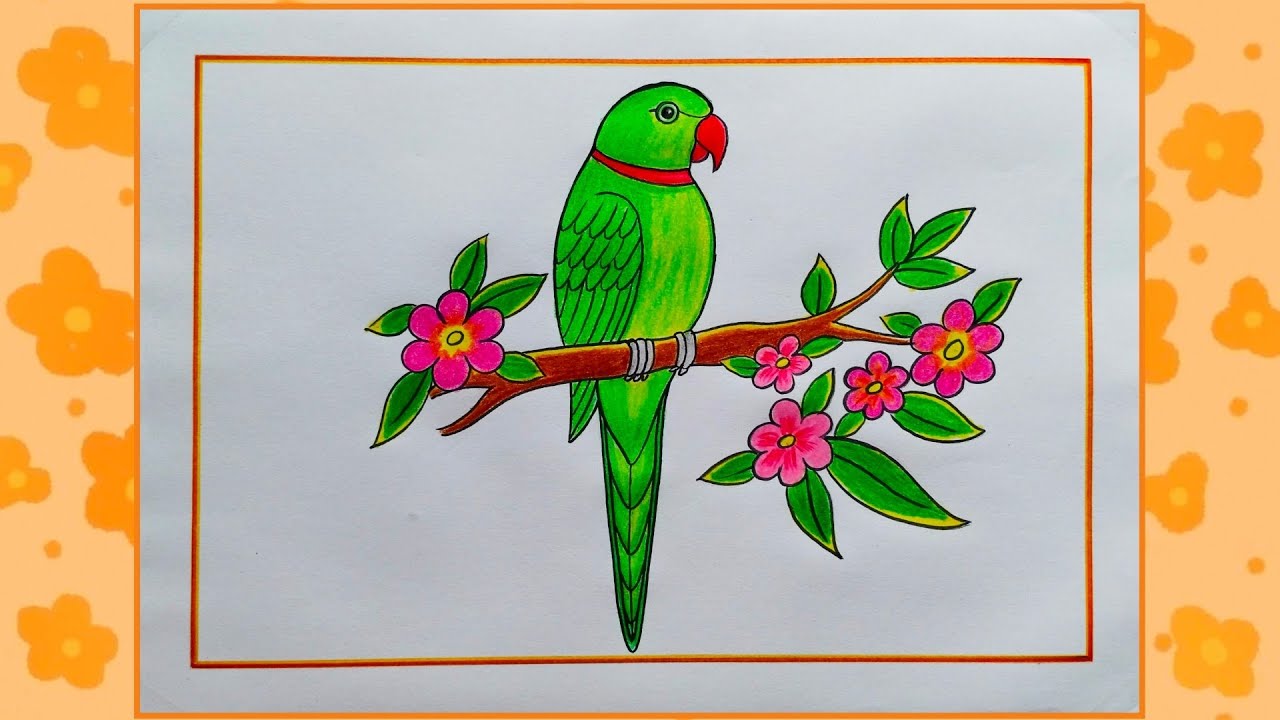Parrot Drawing Easy| How To Draw Parrot Step By Step| Parrot Scenery ...