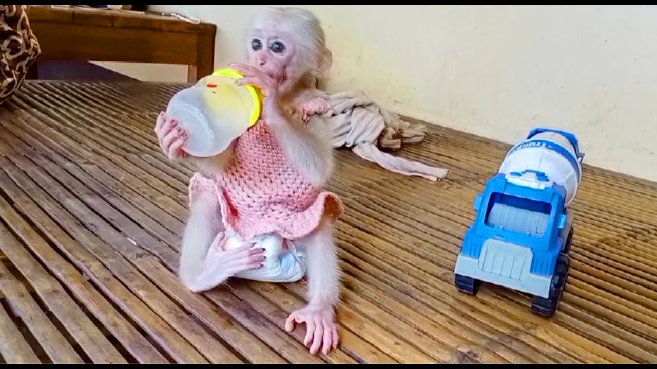 Warmly Take Care For Cute baby make her get best healthy so fast - YouTube