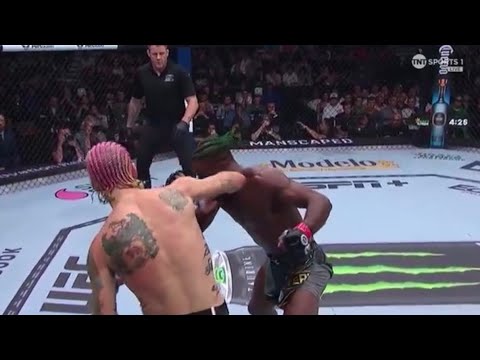 Sean O’Malley “Suga” Stops Aljamain Sterling Brutal Right Cross UFC 292 ...