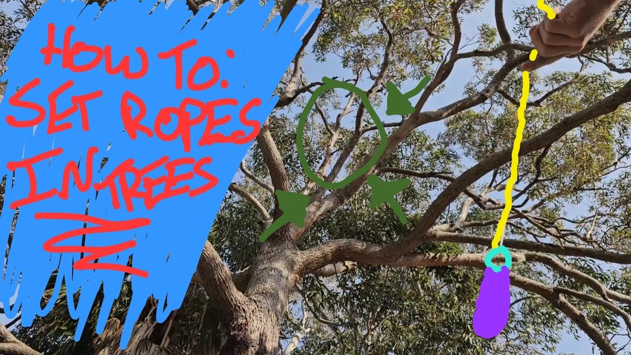 HOW TO: set ropes in trees. Double bagging and soft 8s - YouTube