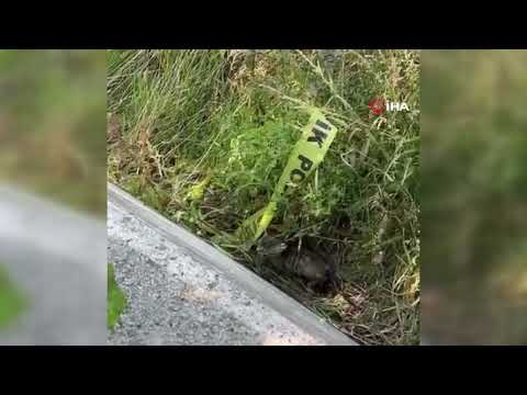 SU KANALINDA MAHSUR KALAN KEDİNİN YARDIMINA POLİS YETİŞTİ