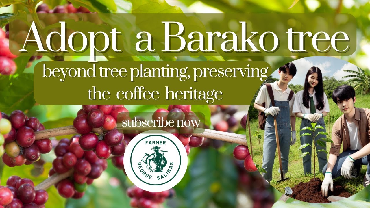 Adopt a Barako Tree: Preserve Our Coffee Heritage and Help Filipino ...