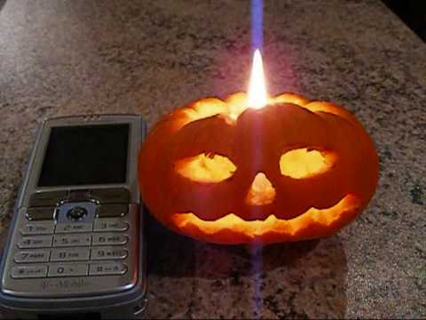 Is this the smallest Halloween Pumpkin in the world? - YouTube