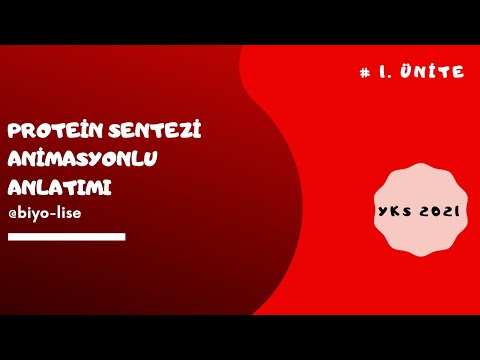PROTEİN SENTEZİ ANİMASYONLU ANLATIM YKS# 17 YKS 2021