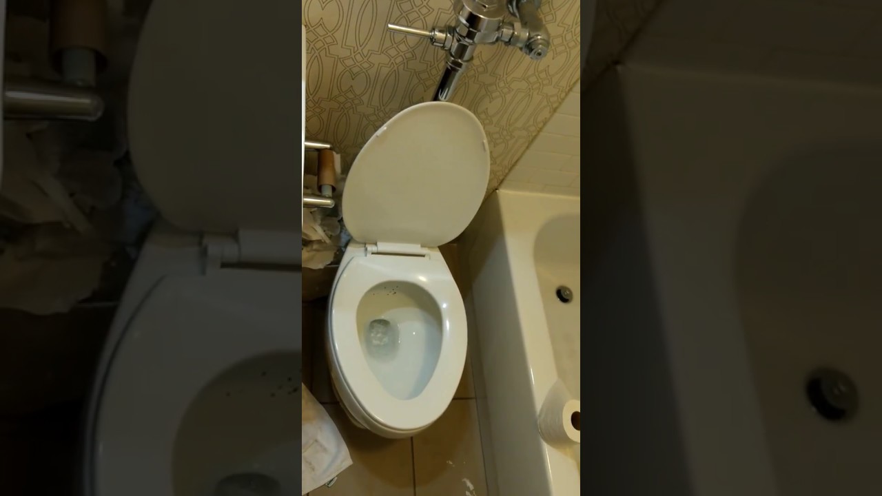 Flush Toilet Loud Noise Pipes At Pam Calhoun Blog