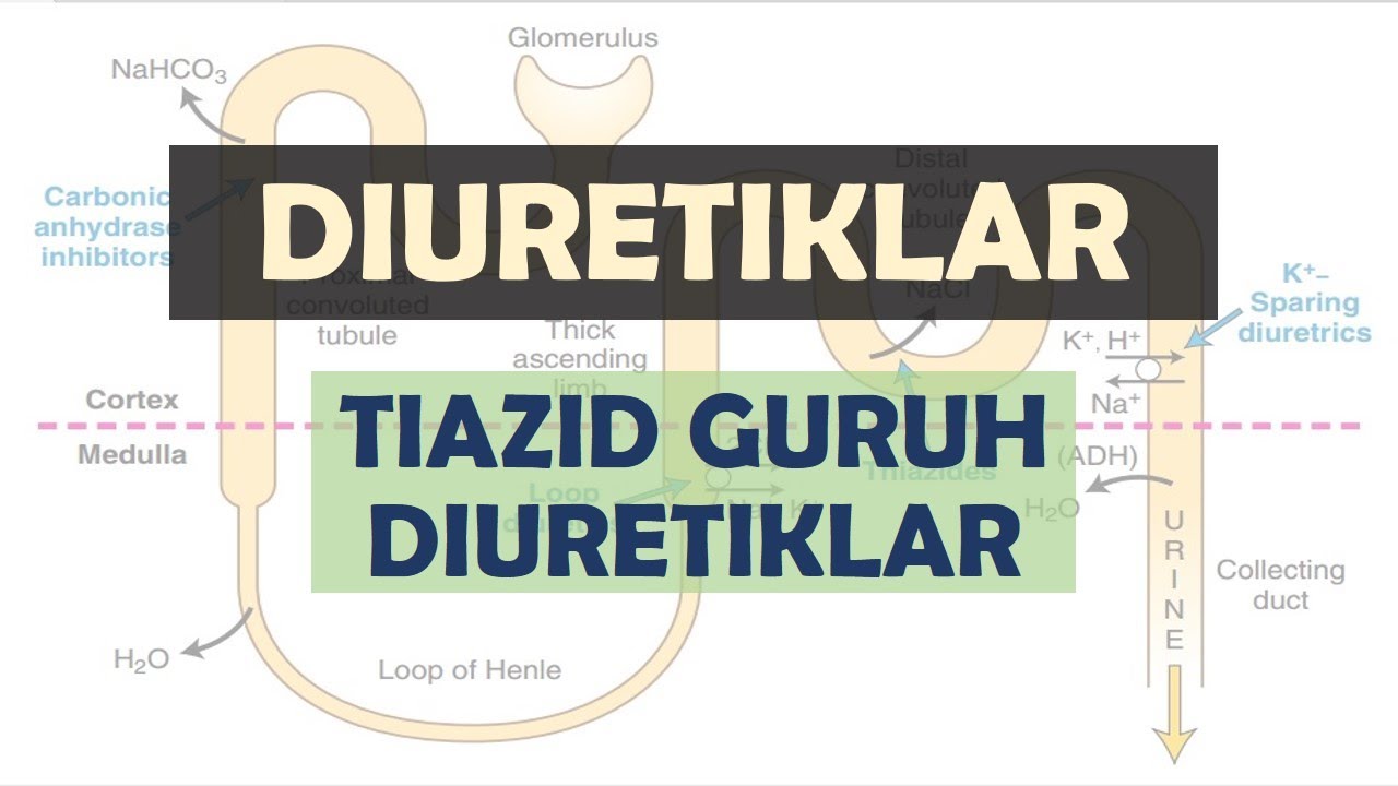 DIURETIKLAR | TIAZID GURUH DIURETIKLAR - YouTube