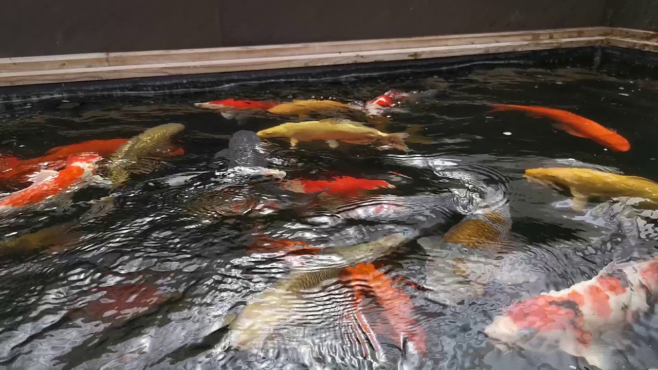 AquaDRI SEIZOEN 2020(1) - YouTube