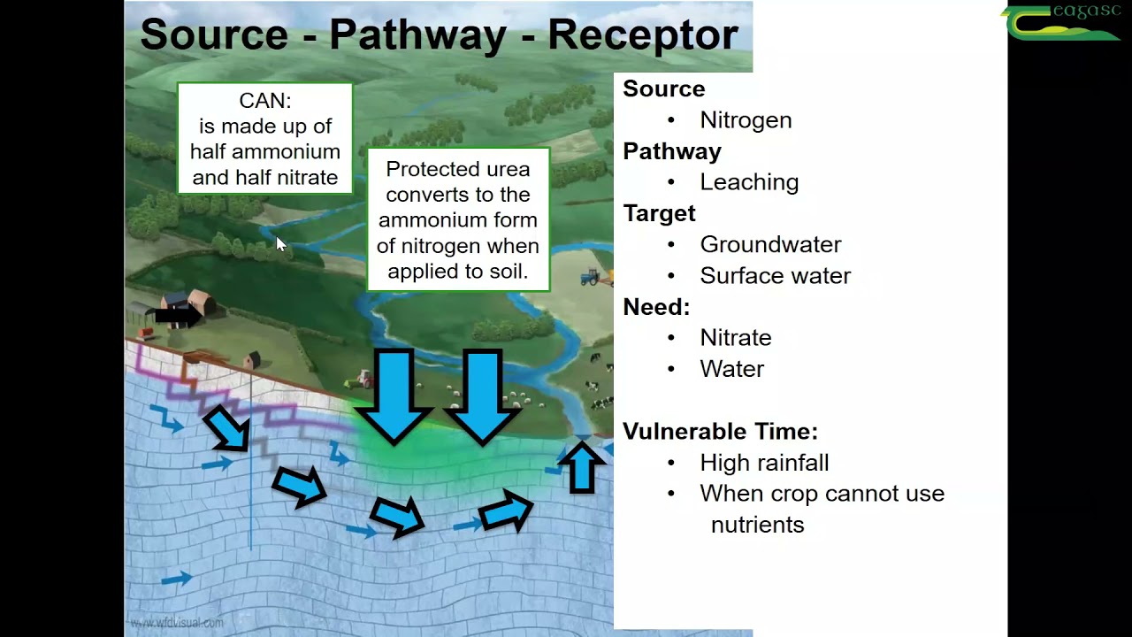 How Nitrate Leaching Occurs - YouTube
