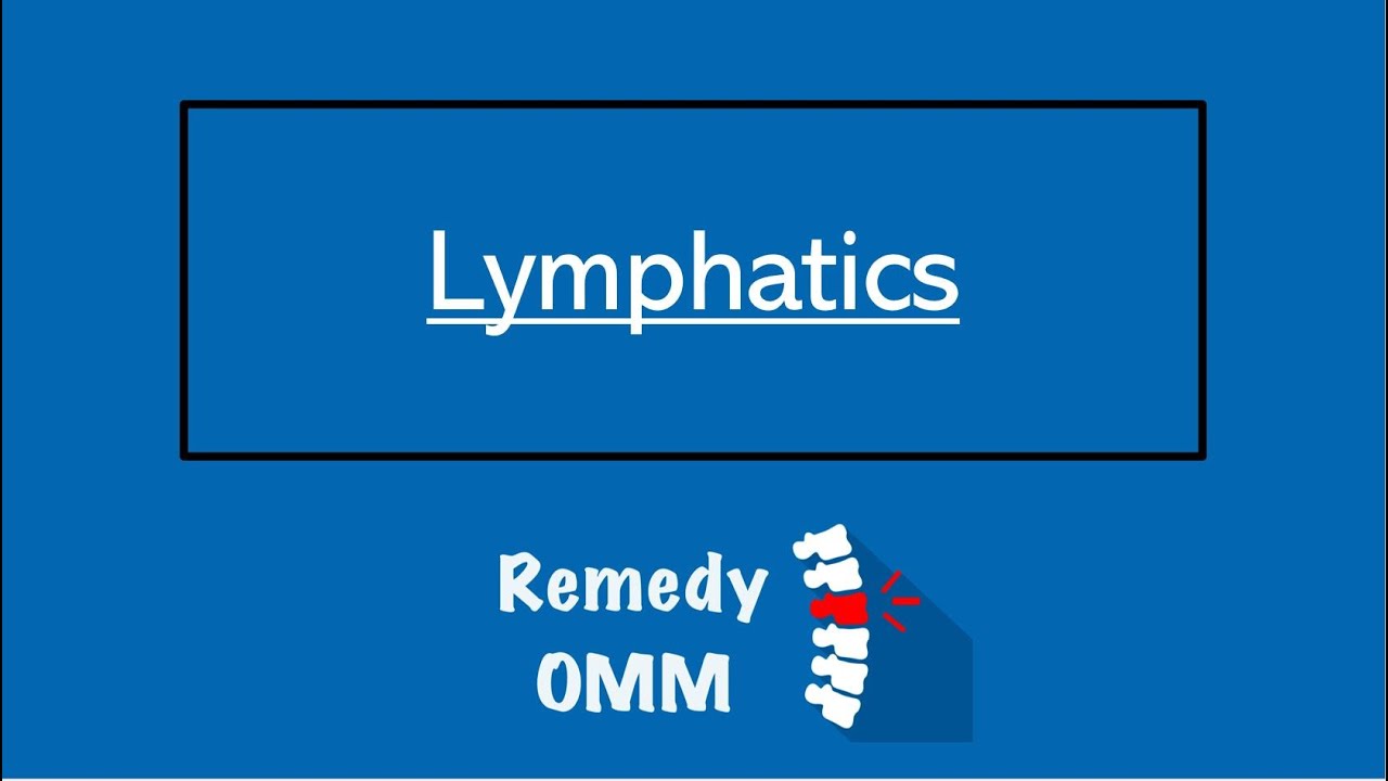 Lymphatics | Remedy OMM - YouTube