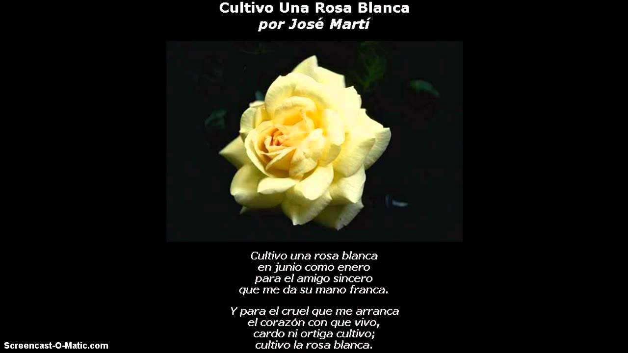 Merchan Rosa Blanca - YouTube